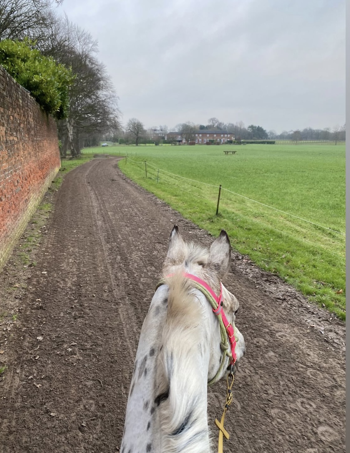 Somerford